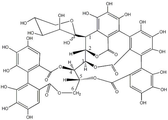 Melaleuca quinquenervia – Information Sheet – Indigenous Plants for ...
