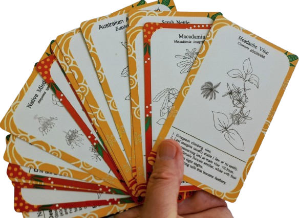 Medicinal & Edible Knowledge Cards Plant List – Indigenous Plants for ...